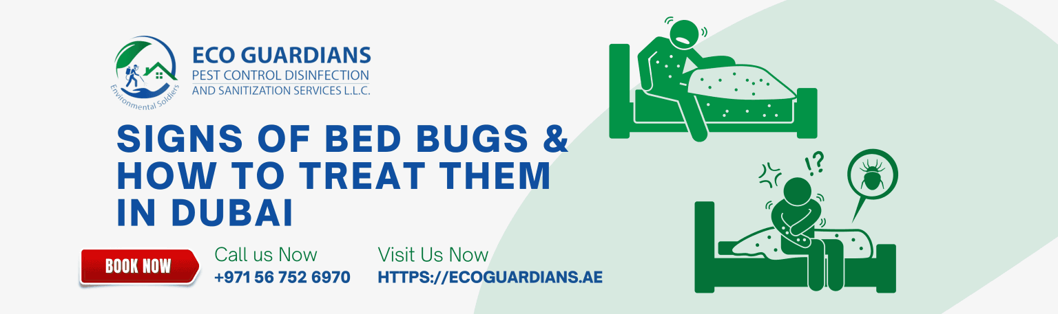 Signs of Bed Bugs & How to Treat Them in Dubai