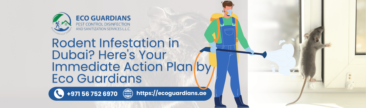 Rodent Infestation in Dubai? Here's Your Immediate Action Plan